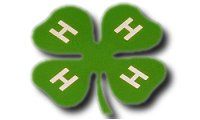 State 4-H looks saved, County approves Small Business Program – Albany ...