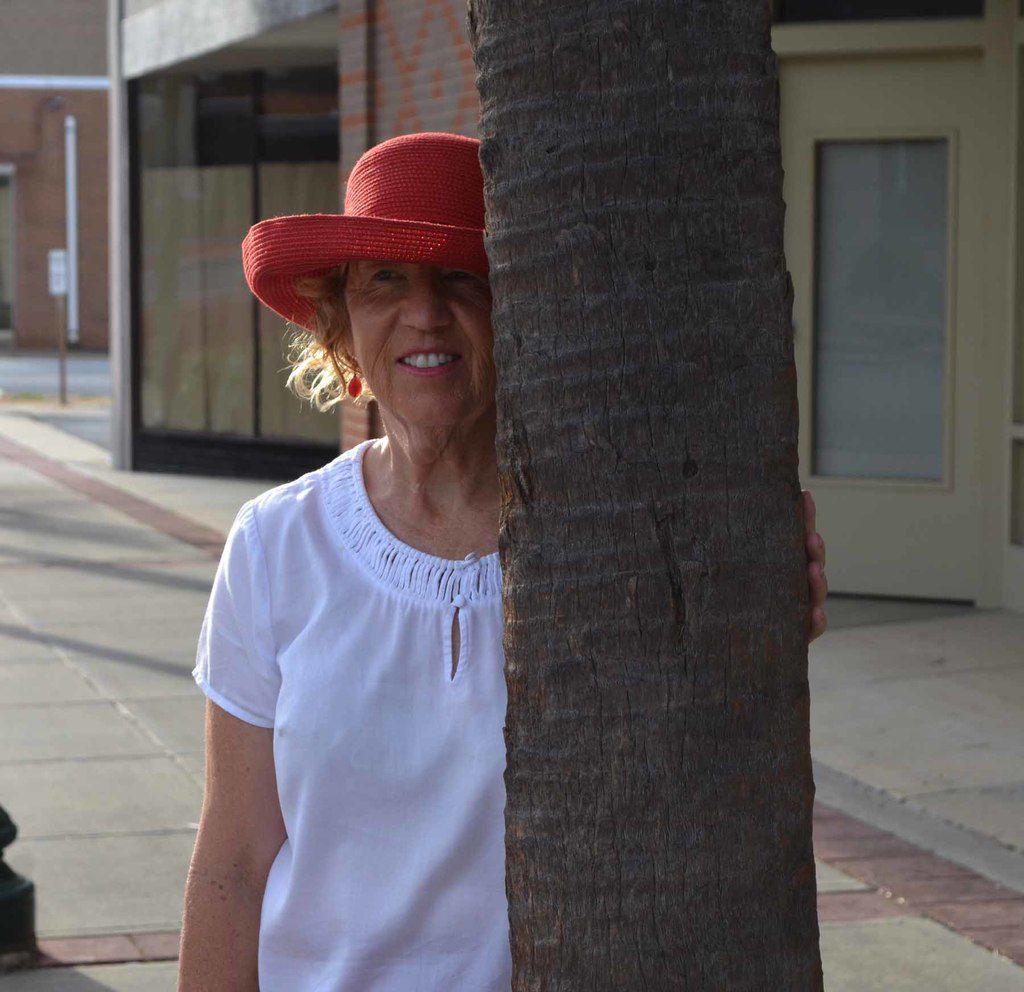 Albany ‘adopts’ non-native palm trees – Albany Herald