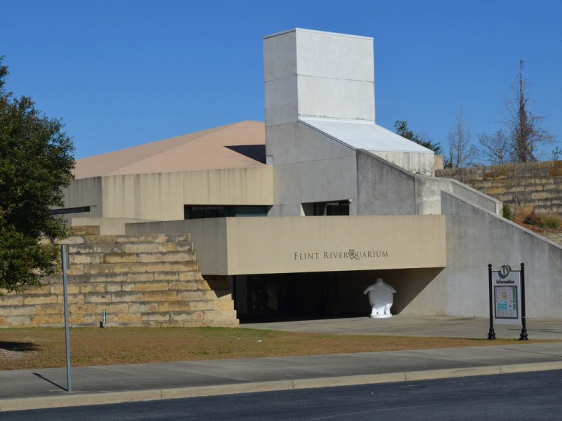 RiverQuarium to host ‘Watermelon Magic’ on Earth Day – Albany Herald