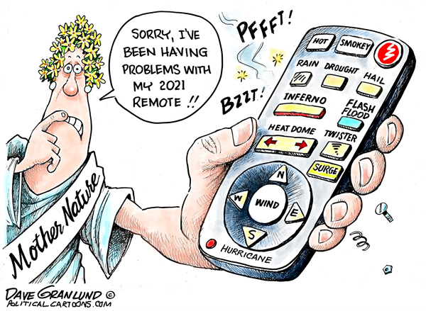 10 editorial and topical cartoons from the past week - July 19 – Albany ...
