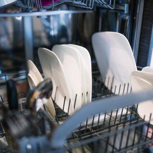 The life span of 10 common home appliances – Albany Herald