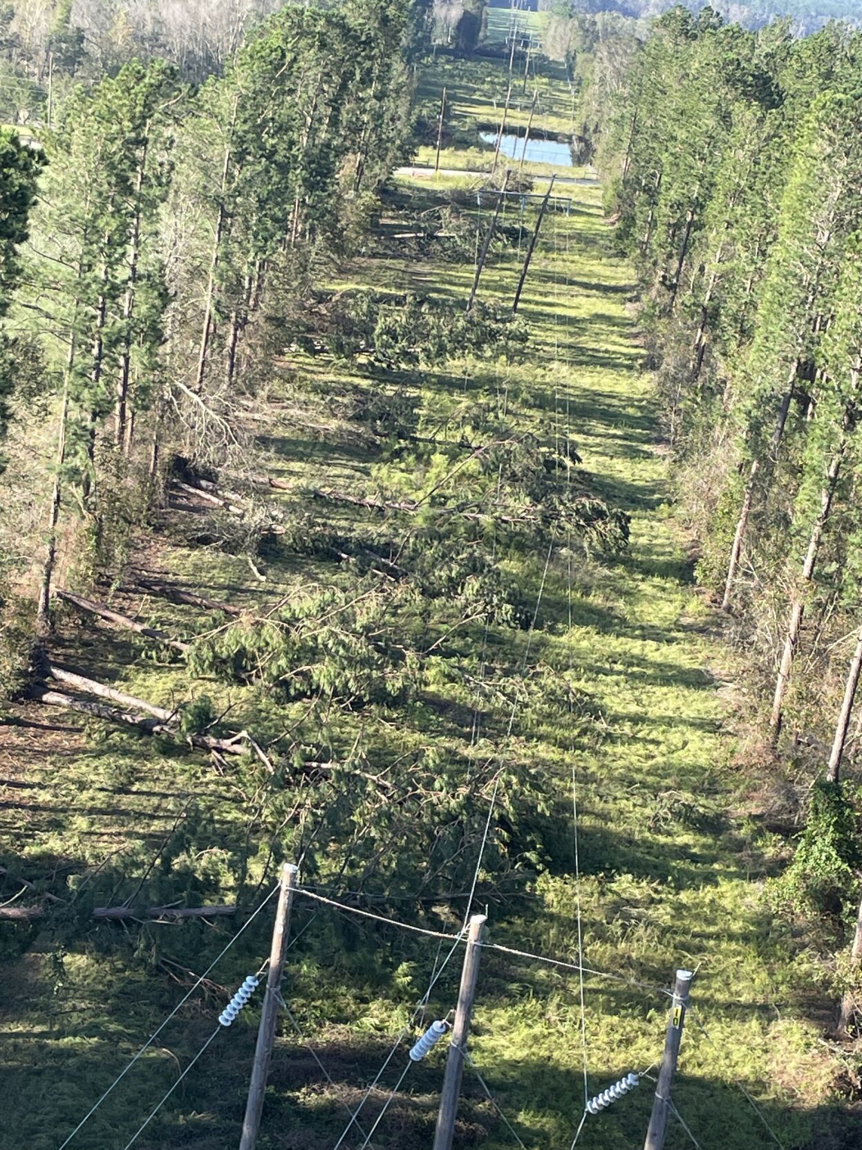 Georgia Power offers Helene restoration progress report – Albany Herald