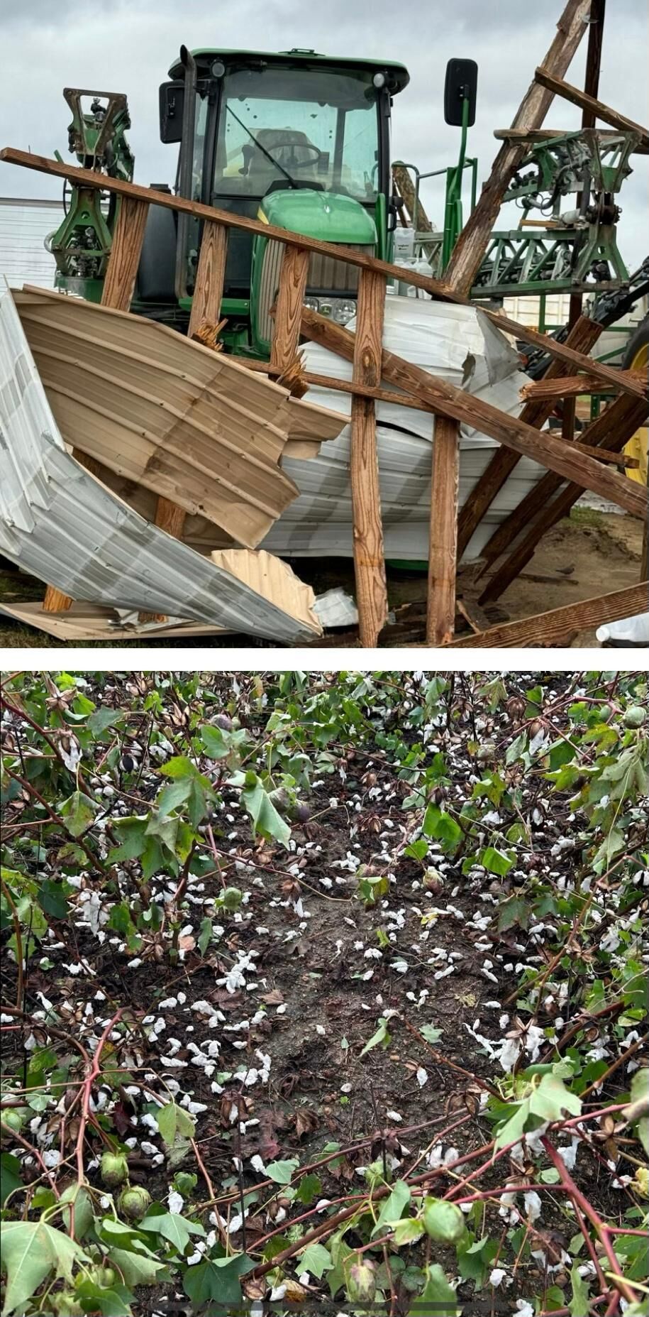 Hurricane Helene devastates Georgia farms – Albany Herald