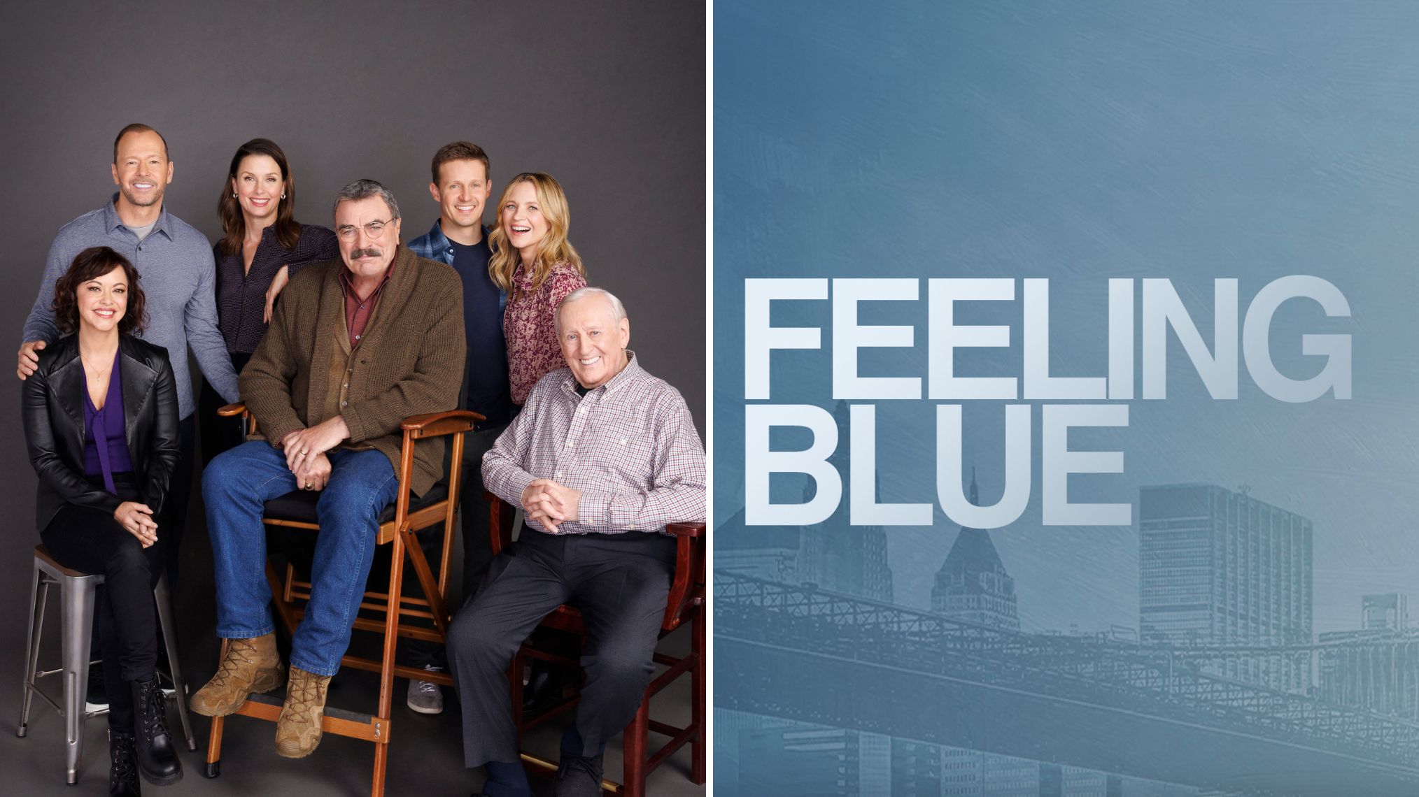 ‘Blue Bloods’ Holds a Wake for Beloved Reagan at Family Dinner (RECAP ...