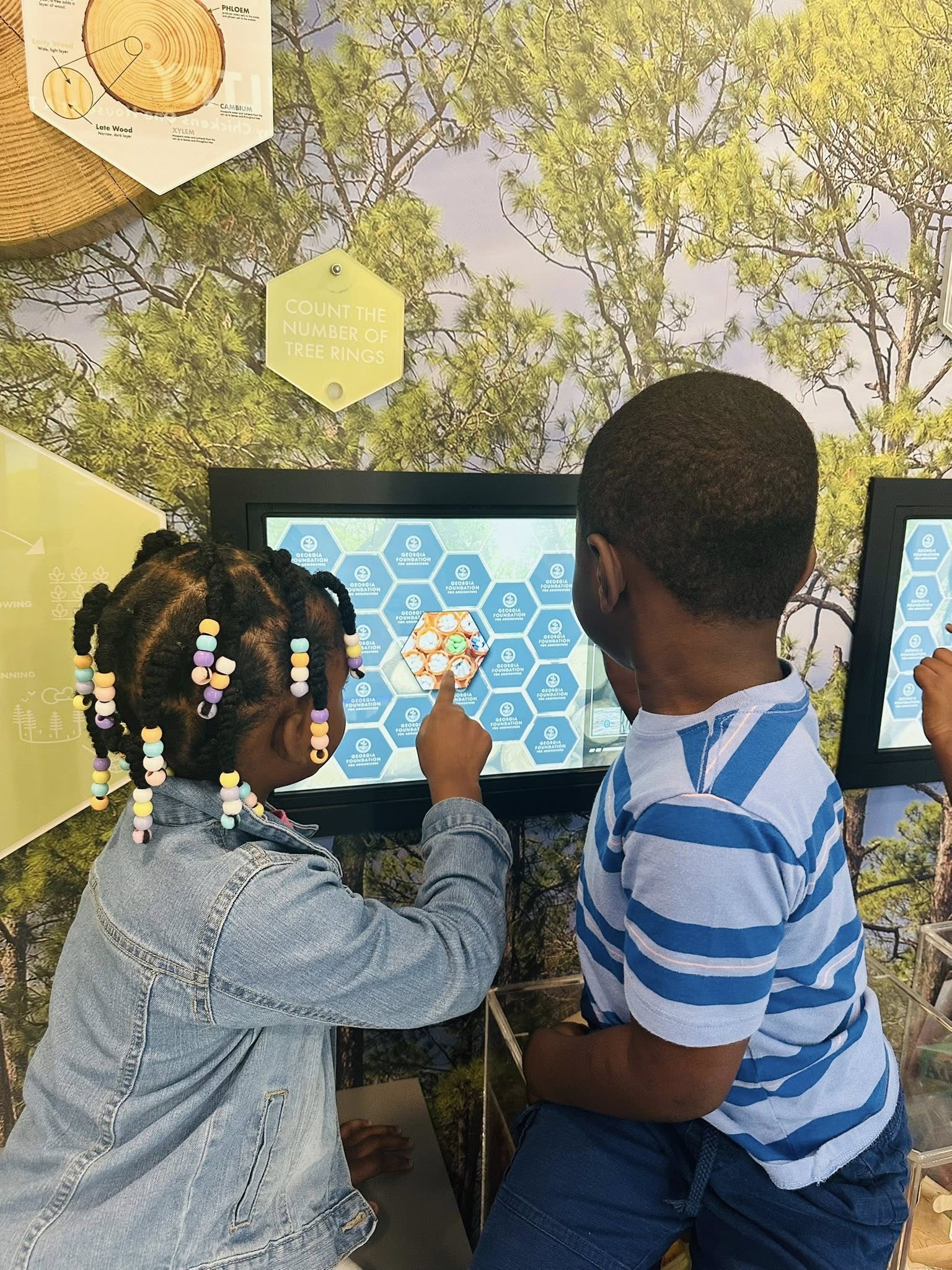 Albany Area YMCA’s summer camp students enjoy Georgia Ag Experience ...