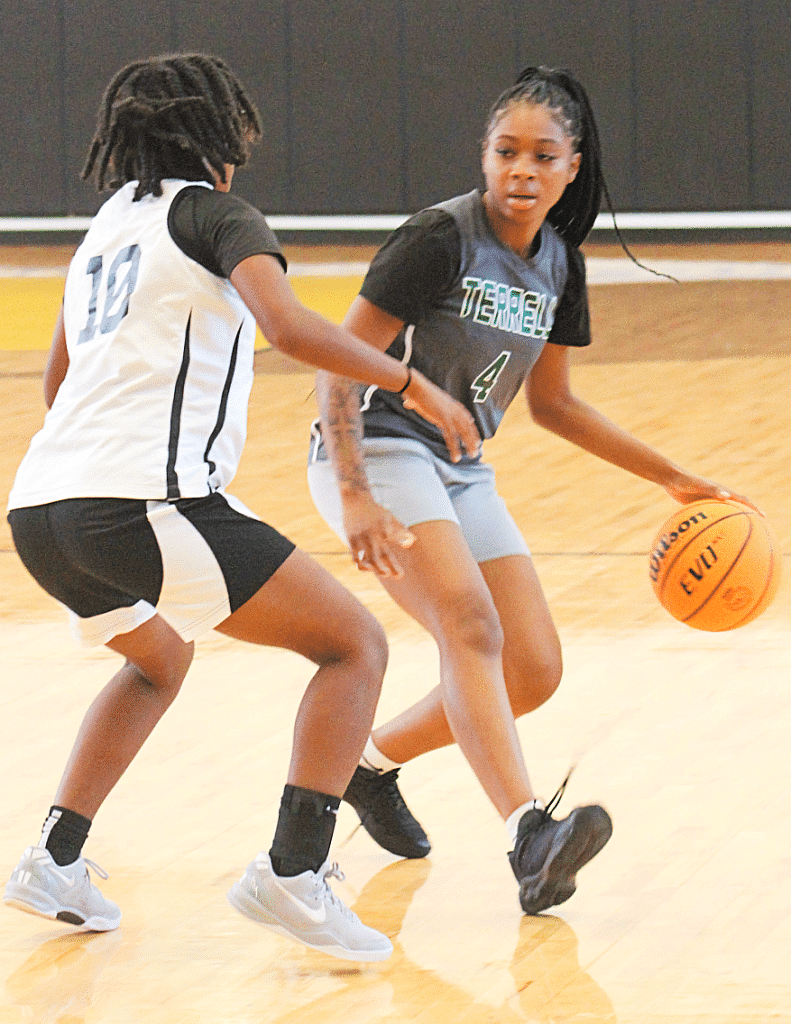 PHOTOS: Girl's Summer basketball: Dougherty vs. Terrell County – Albany ...