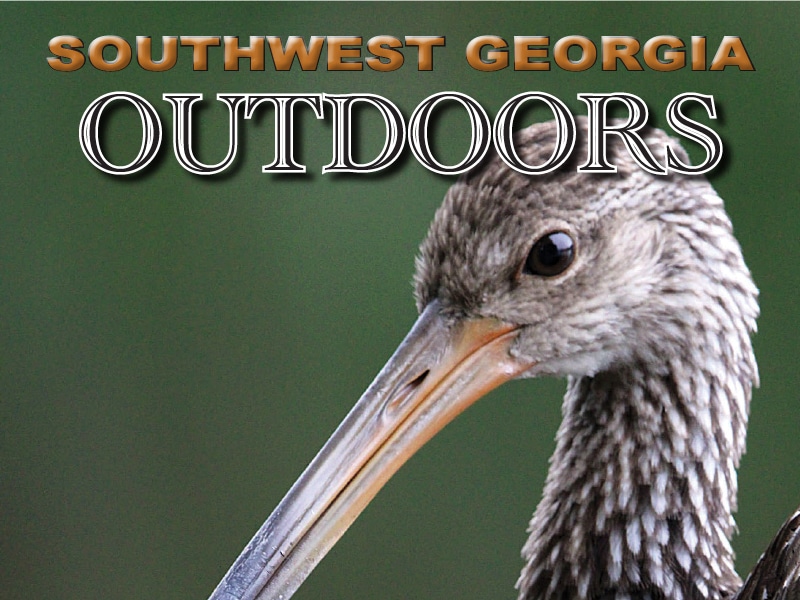 Southwest Georgia Outdoors – Spring 2025 – Albany Herald