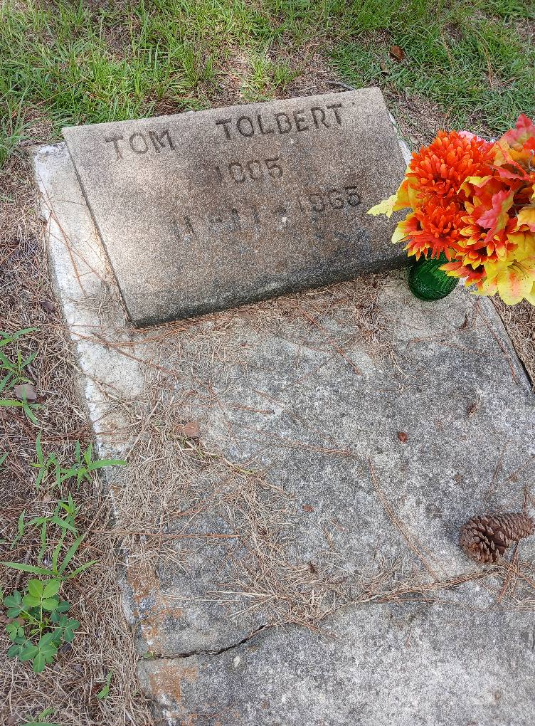 Tolbert family holds 85th reunion in Sylvester – Albany Herald