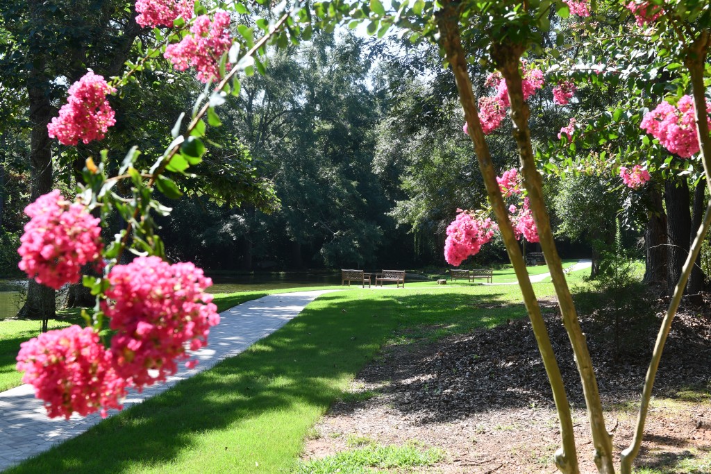 Carter Gardens, final resting site of Jimmy and Rosalynn Carter, now ...