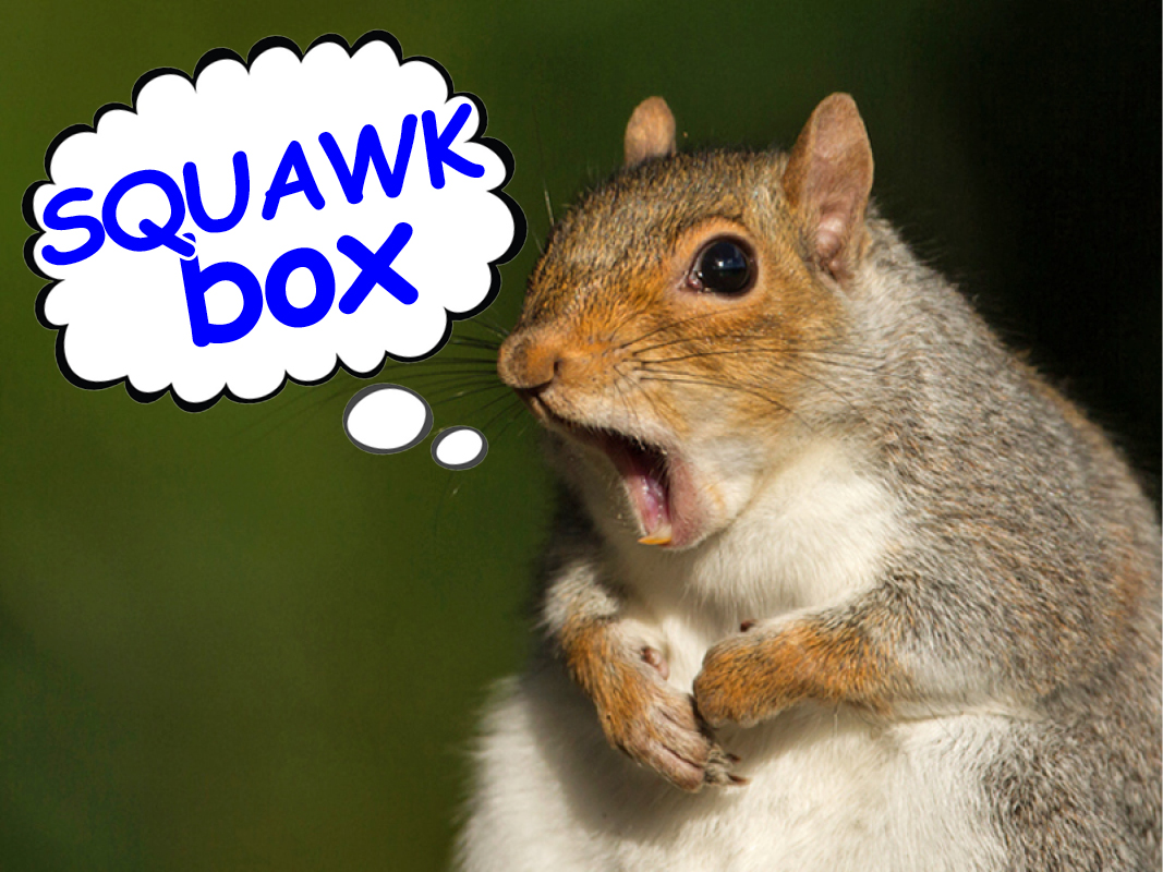 Squawkbox - November 1, 2025 – Albany Herald