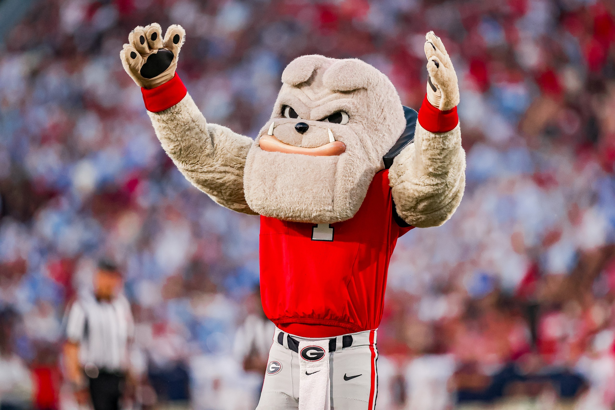 Same Opponent, Different Georgia Defense Awaits Ole Miss – Albany Herald