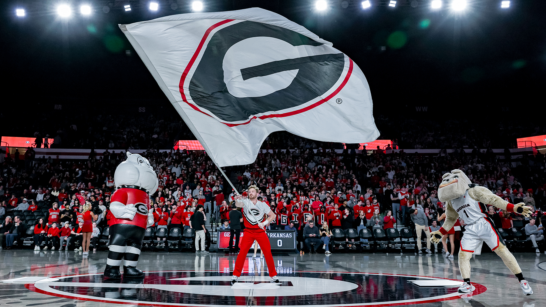 UGA signs three high school basketball players – Albany Herald