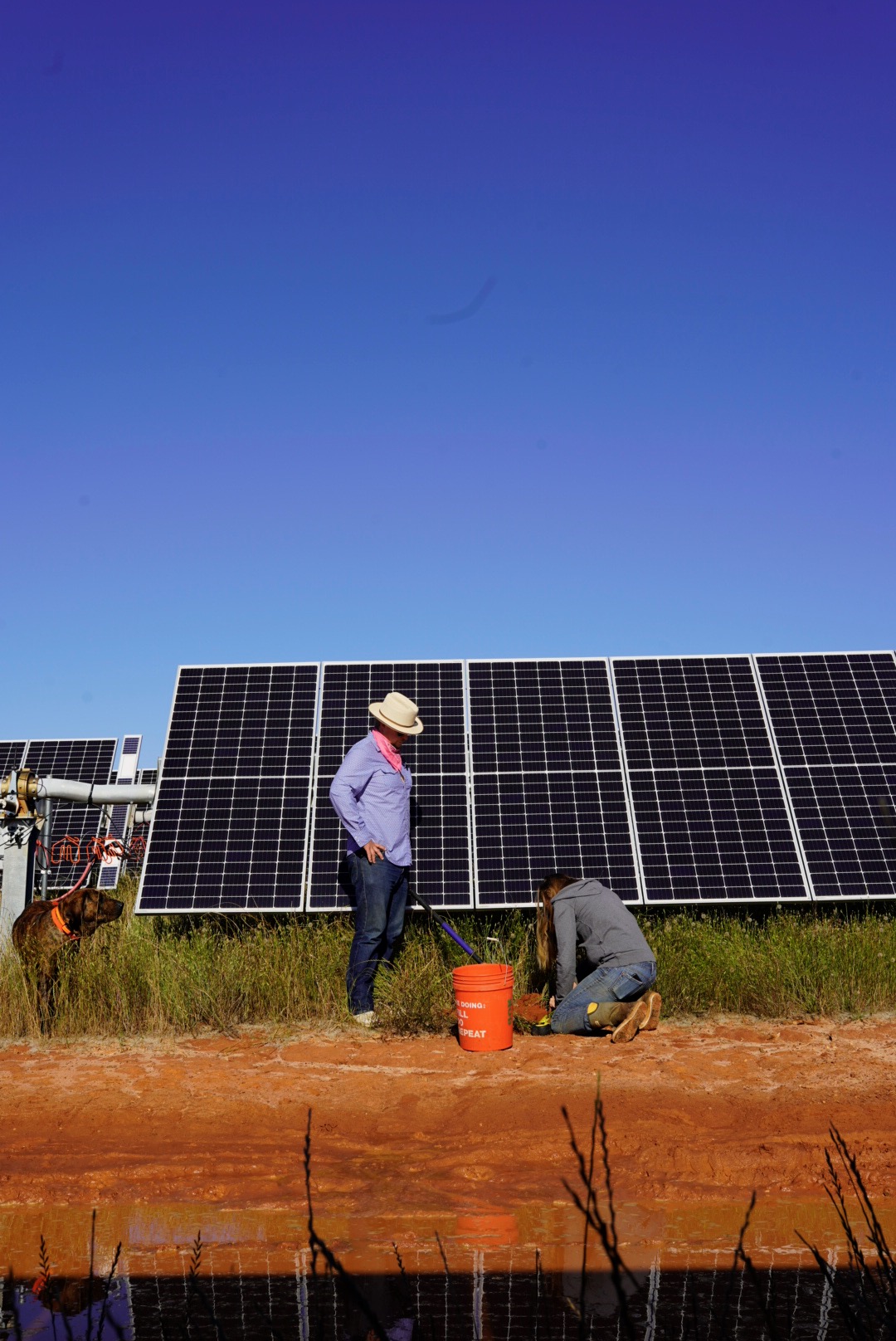 Public opposition sinks proposed Lee County solar farm – Albany Herald