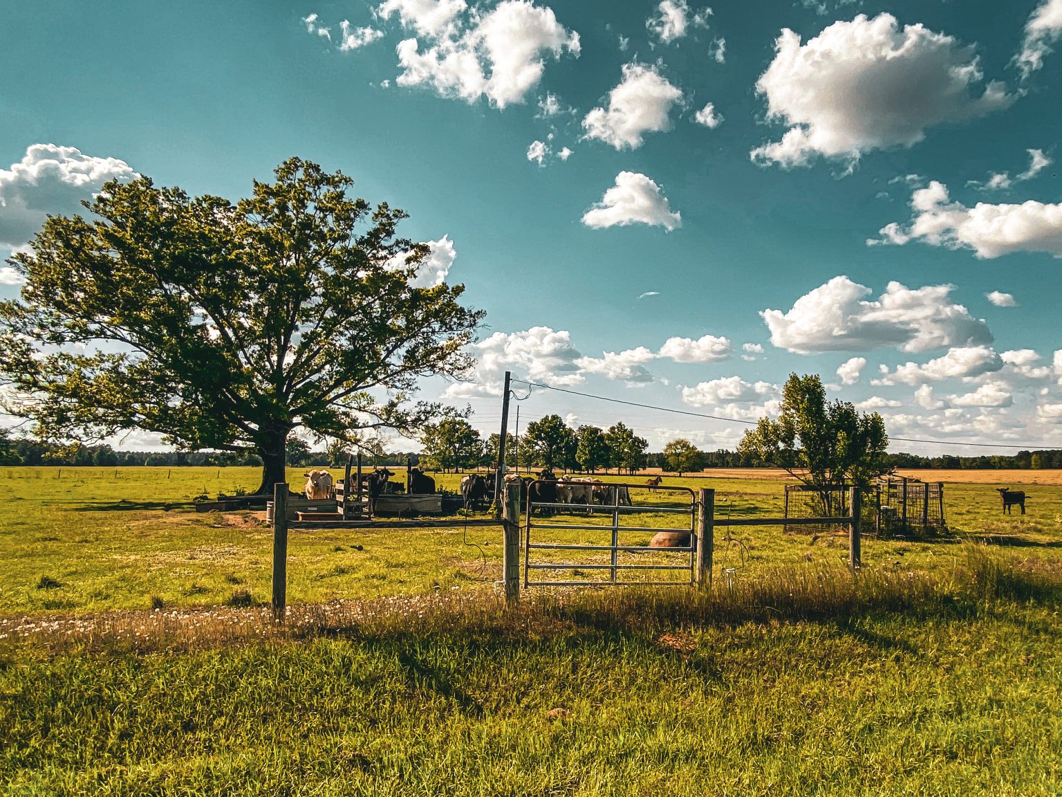 Lee County Farmland Values Could Jump 83%